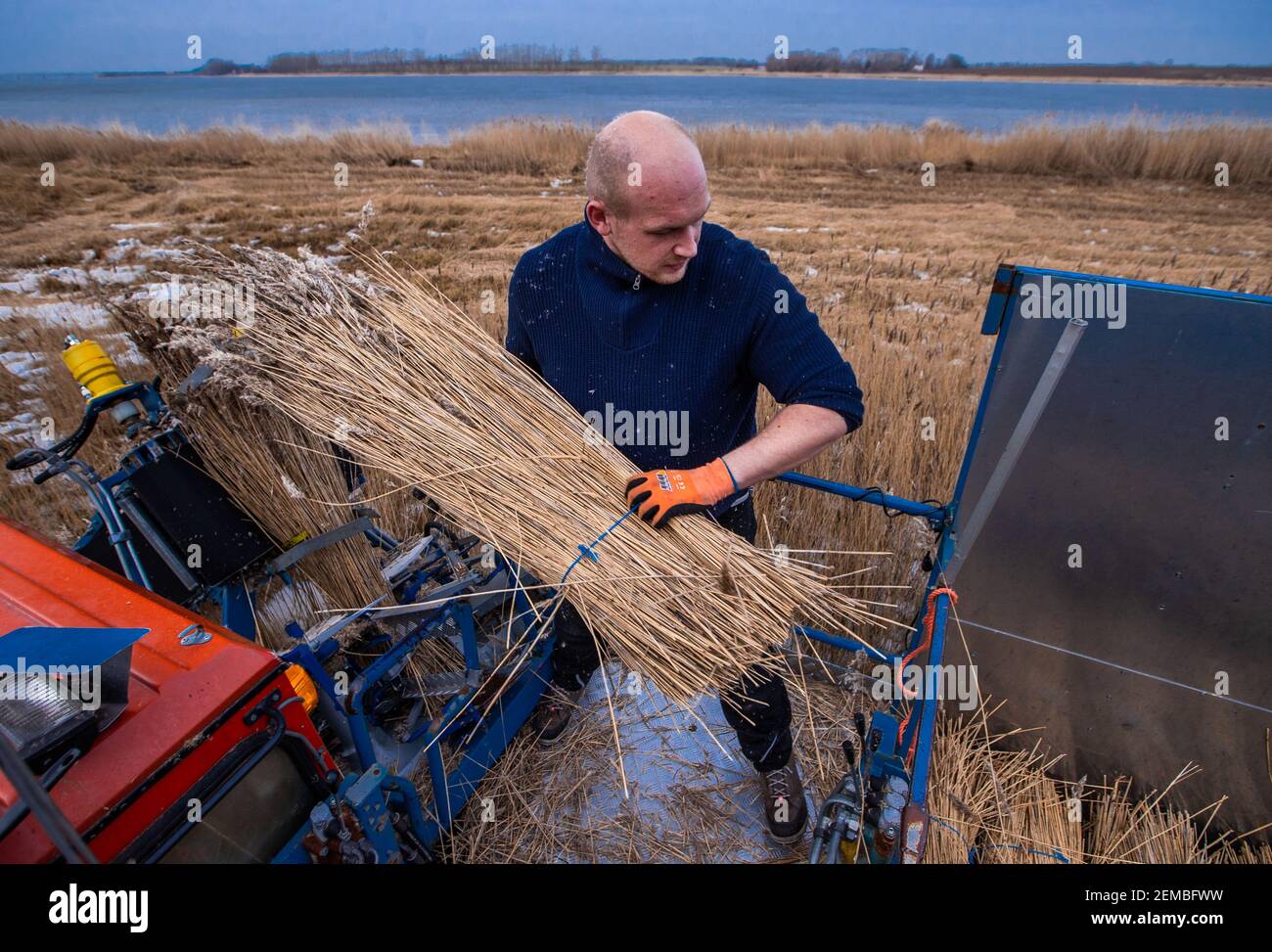 Drigge, Germany. 23rd Feb, 2021. Tobias Splettstößer, the reedman ...