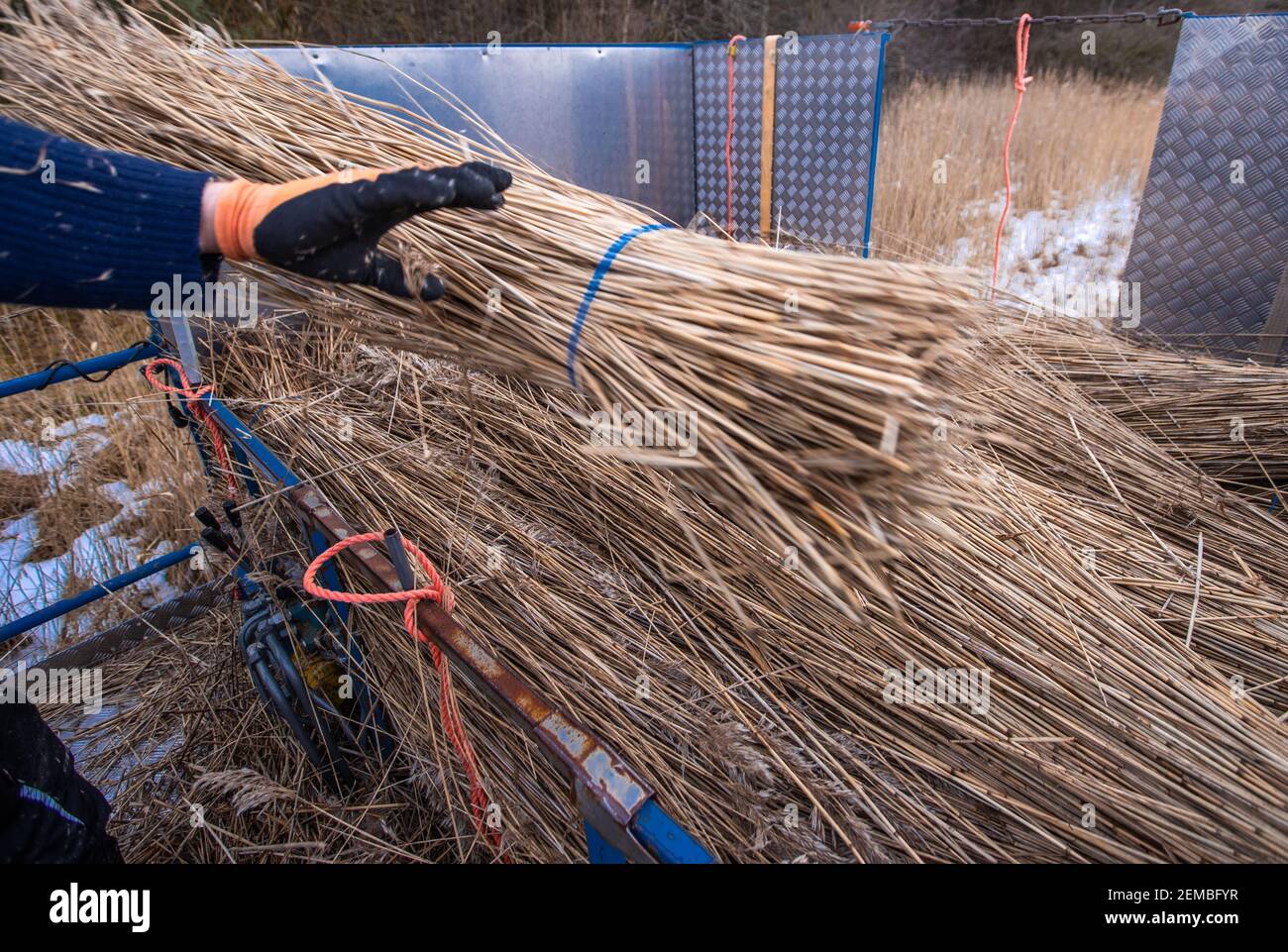Cane end house hi-res stock photography and images - Alamy