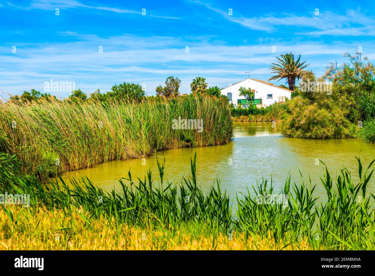 Typical Camargue landscape, Provence, France Stock Photo - Alamy