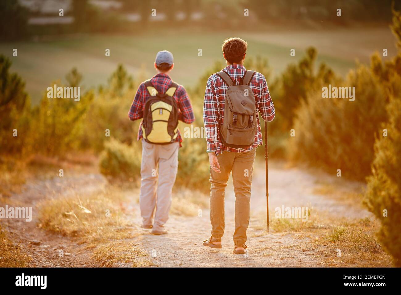 two men hikers enjoy a walk in nature, sunset time in summer. enjoying ...