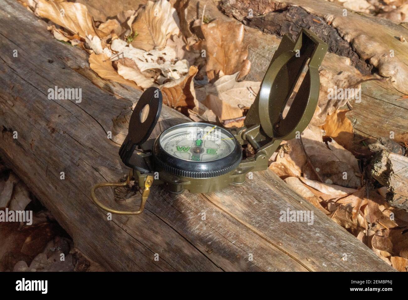 Green hiking compass in the forest on a stump in the sunlight Stock ...