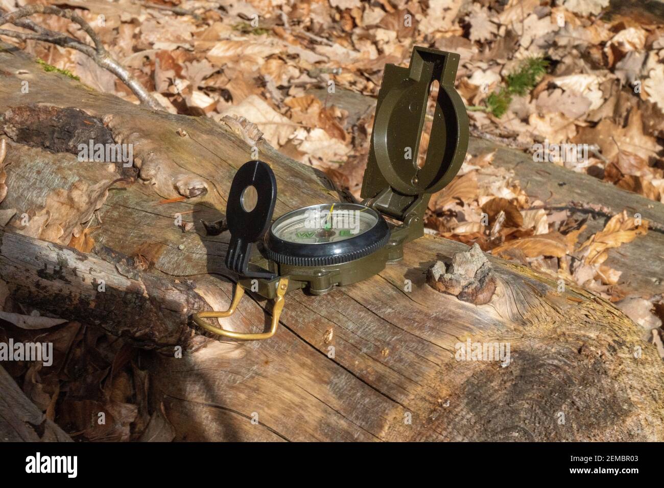 Green hiking compass in the forest on a stump in the sunlight Stock ...