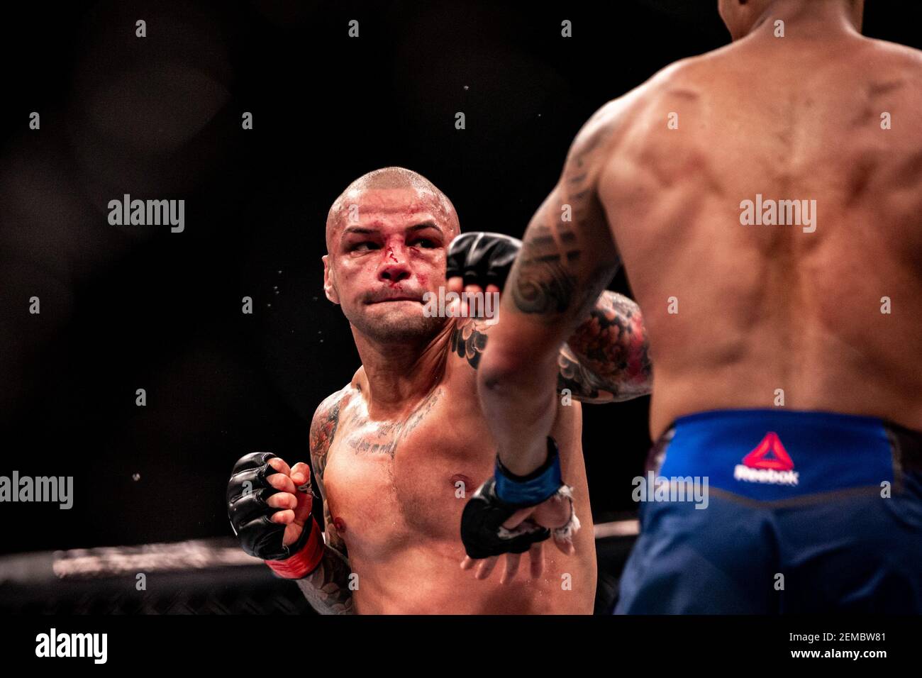 Thiago "Pitbull" Alves Vs. Max "Pain" Griffin on the UFC Fortaleza ...