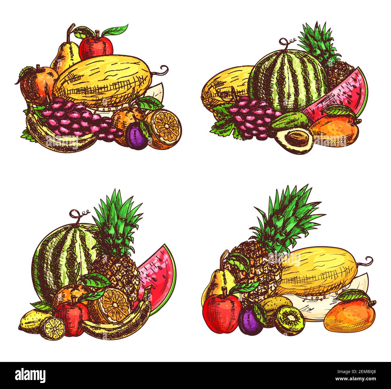 Kiwifruit orchard Stock Vector Images - Alamy