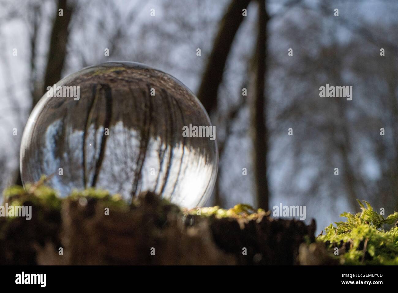 Glass ball / lens ball in the forest on a stump in the sunlight with ...