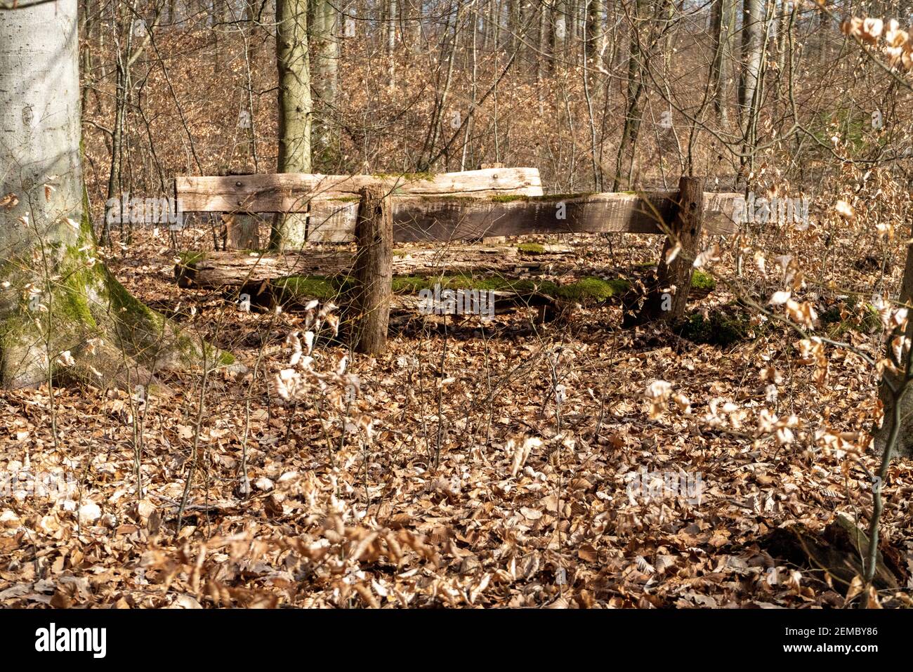 Wooden seating group in the forest in a small clearing in the sunlight ...