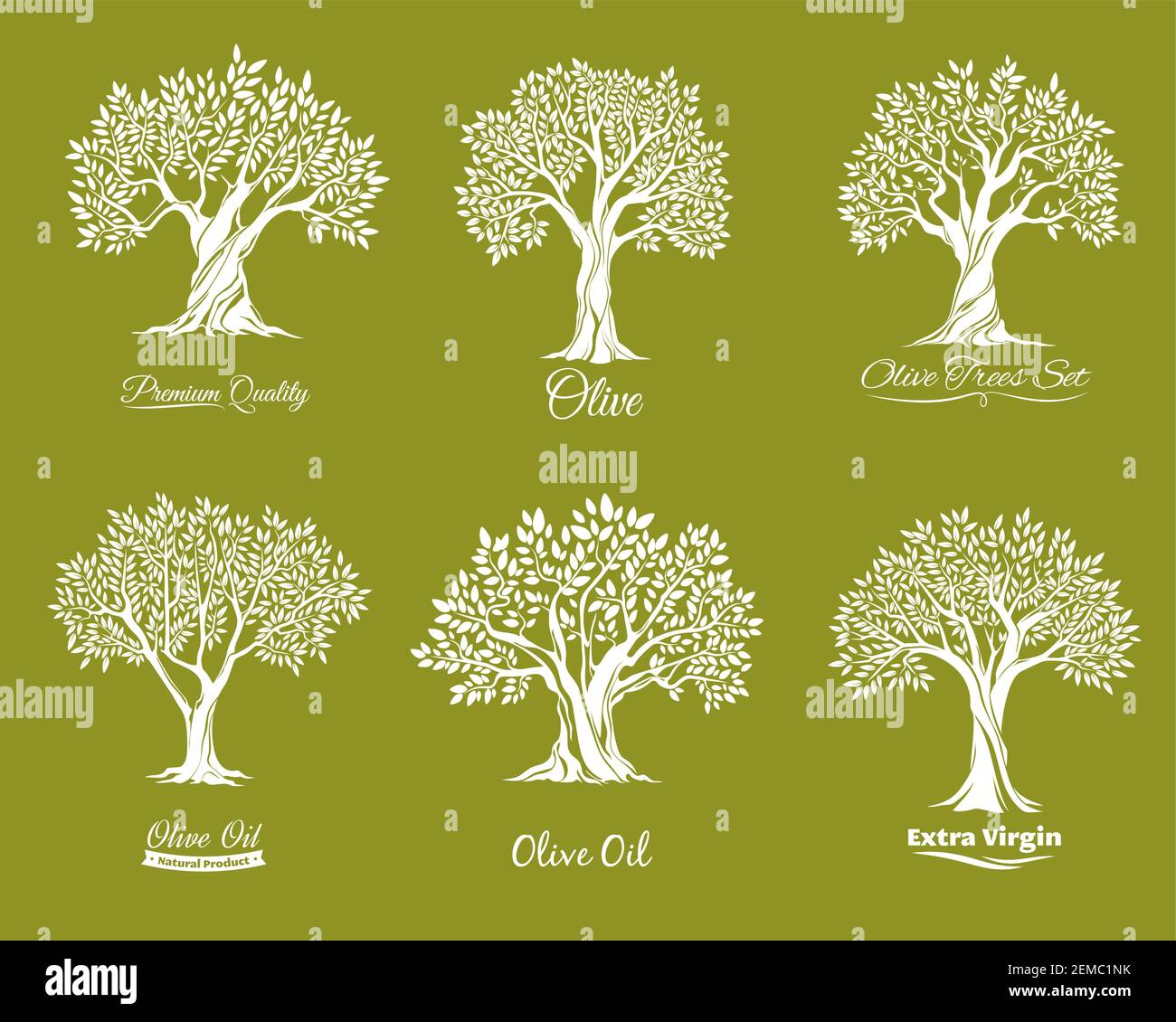 Olive trees grove Stock Vector Images - Alamy