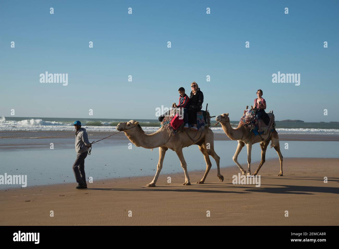 Camel rides for tourists along a beach Stock Photo - Alamy