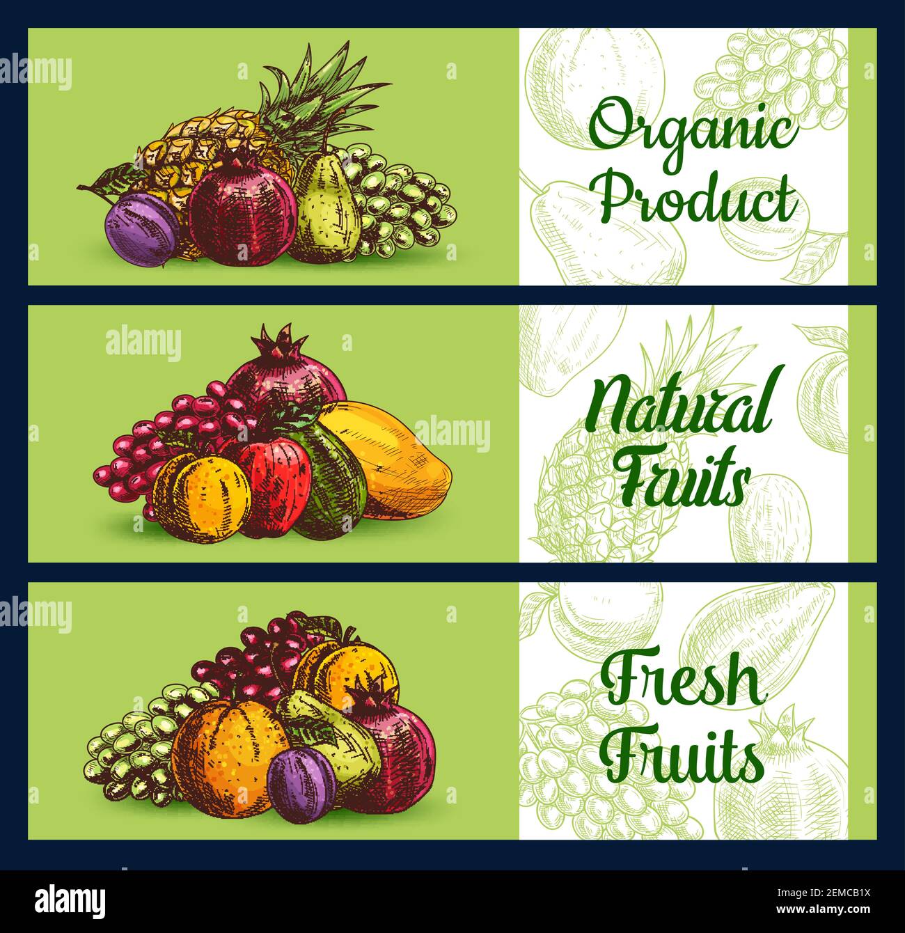 Mango orchard Stock Vector Images - Alamy