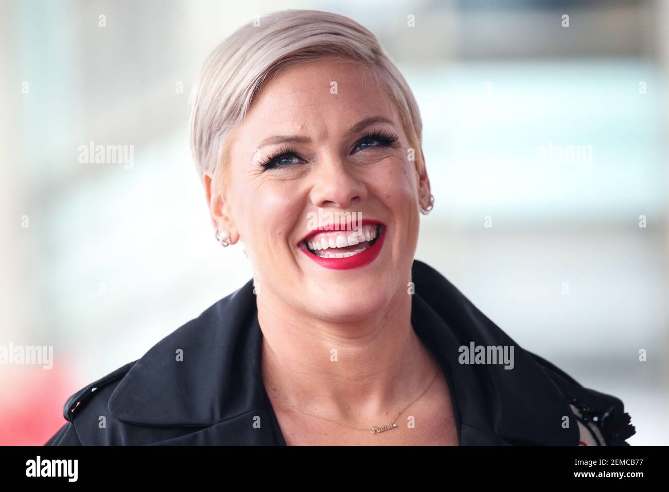 HOLLYWOOD, LOS ANGELES, CA, USA - FEBRUARY 05: Singer P!nk (Pink ...