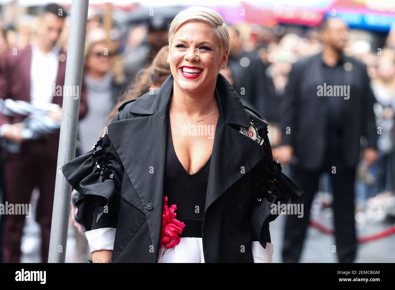 HOLLYWOOD, LOS ANGELES, CA, USA - FEBRUARY 05: Singer P!nk (Pink ...