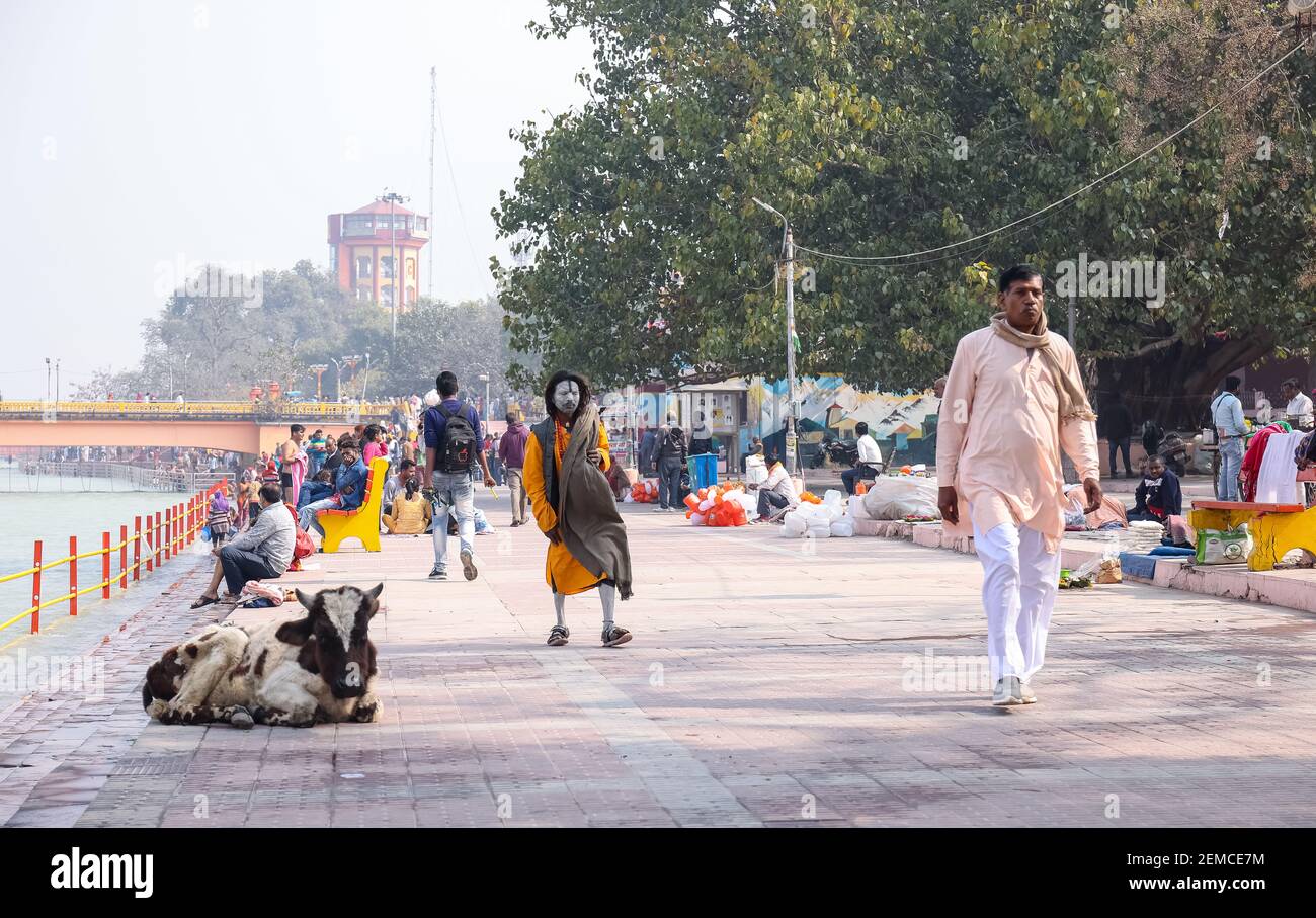 Indian Sadhu in traditional saffron dress participating in Kumbh ...