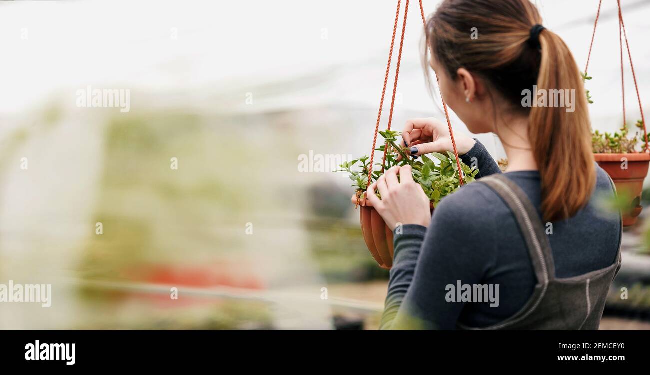 Caring for plants hi-res stock photography and images - Alamy