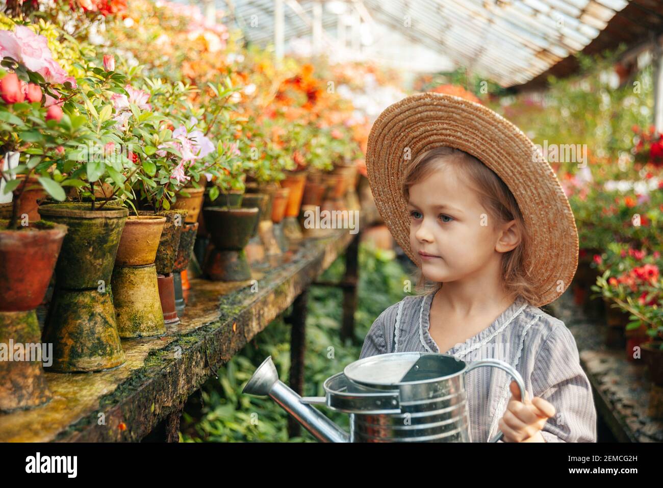 Child planting spring flowers. Little girl gardener plants azalea. Girl ...