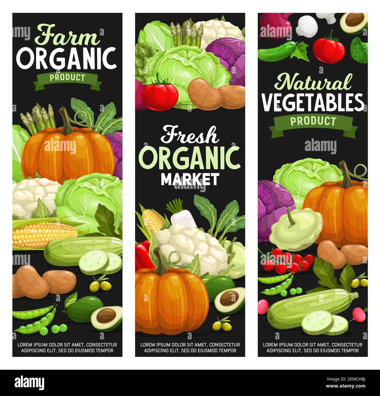 Vegetables and farm veggies, farm market and grocery store vector ...