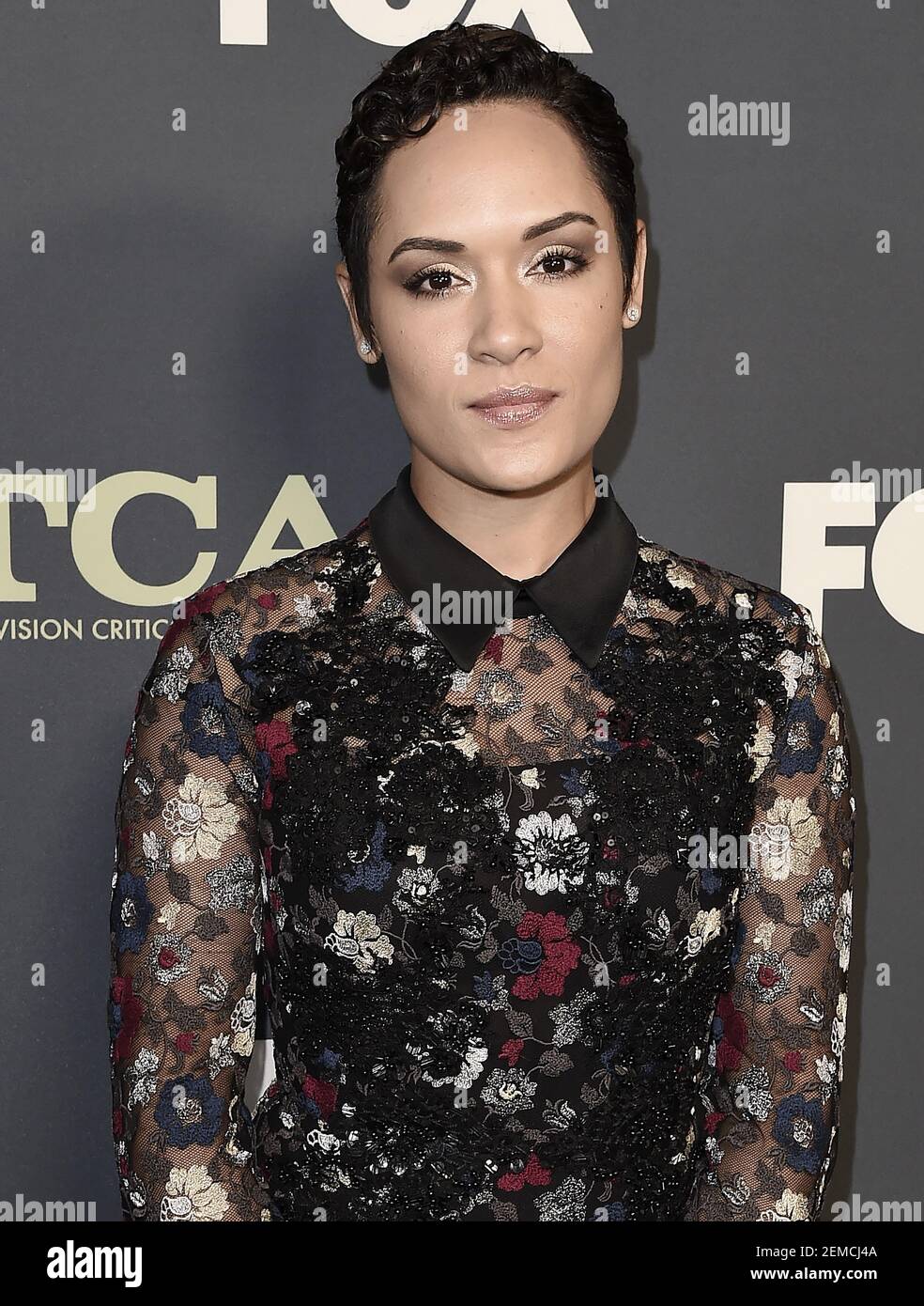 LOS ANGELES, CA - FEBRUARY 6: Grace Byers attends the FOX Winter TCA ...