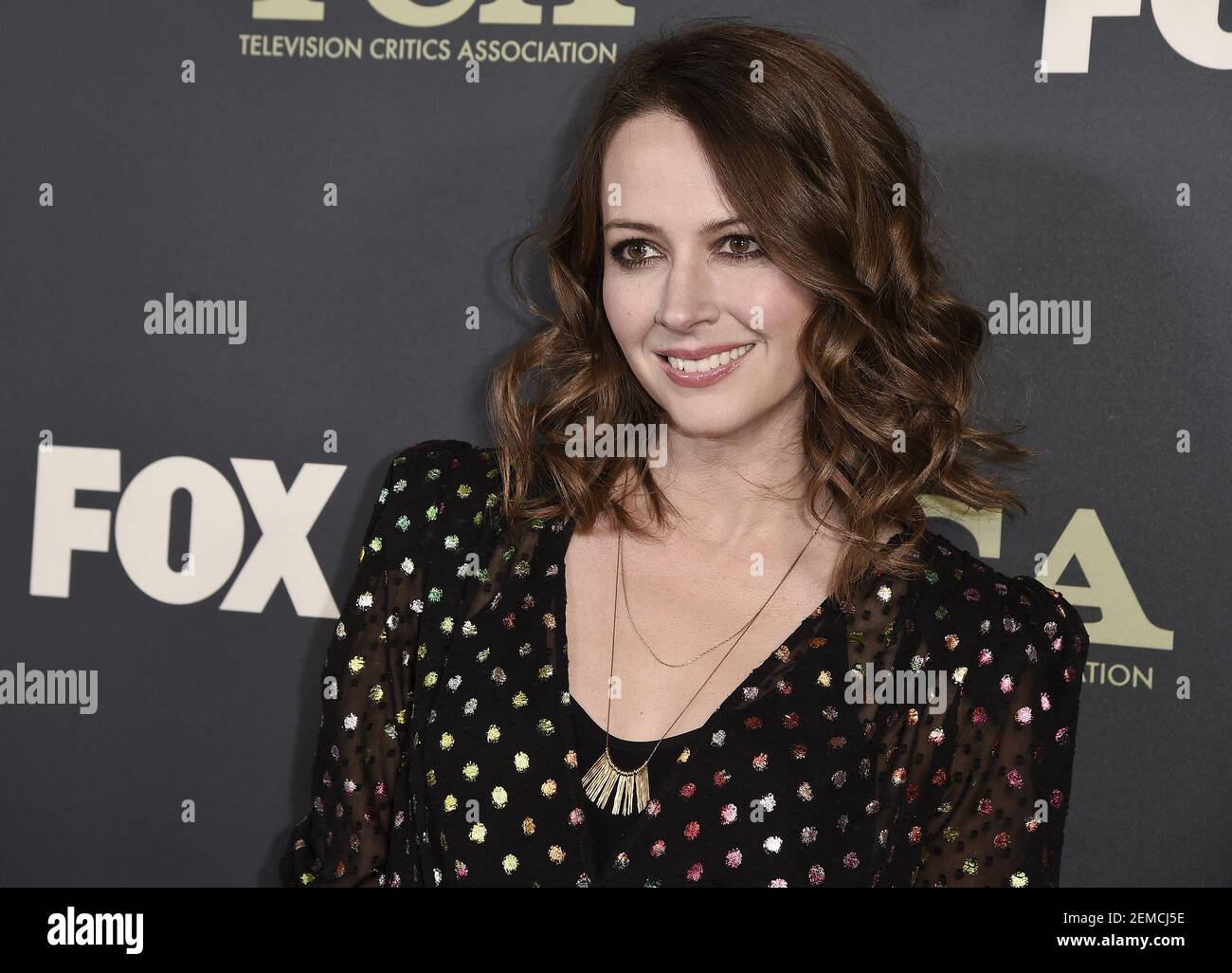 LOS ANGELES, CA - FEBRUARY 6: Amy Acker attends the FOX Winter TCA 2019 ...
