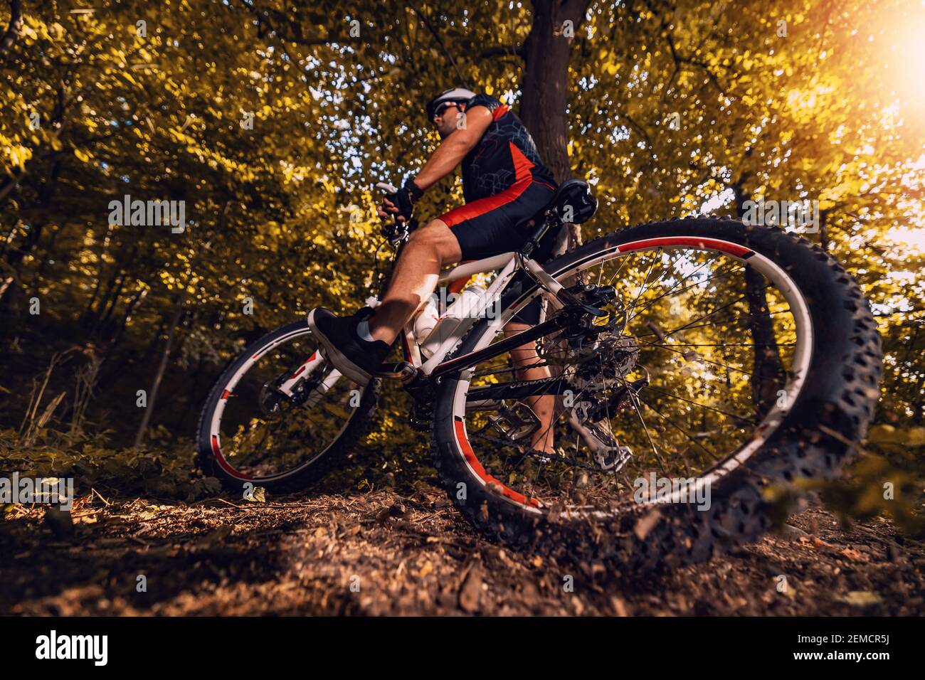 Active bicyclist riding at the forest.Healthy lifestyle and outdoors ...