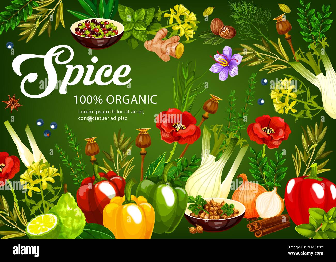 Herbs and spices, seasonings vegetables and cooking condiments, vector ...