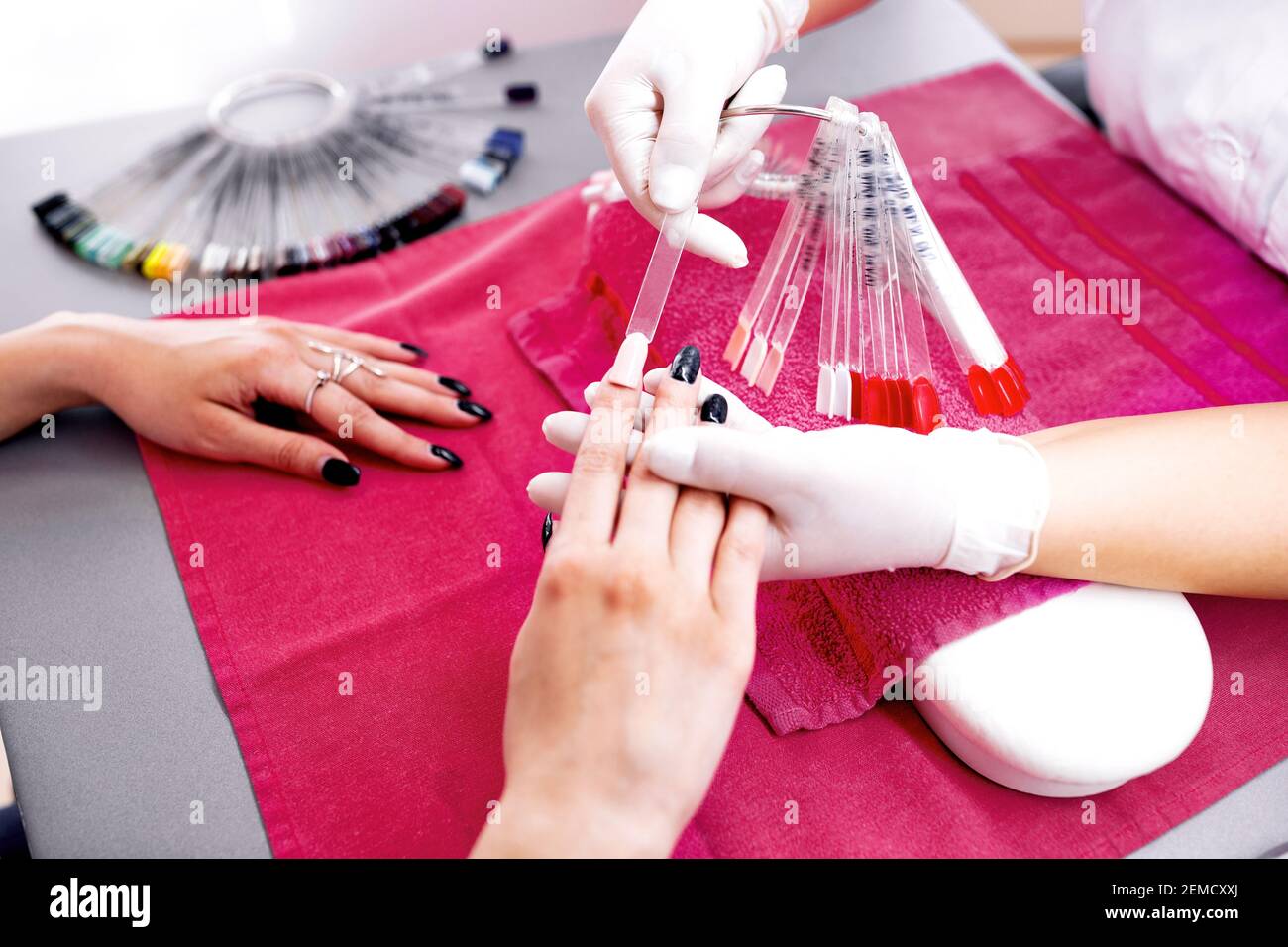 Manicurist holding the hand of her client and comparing color ...
