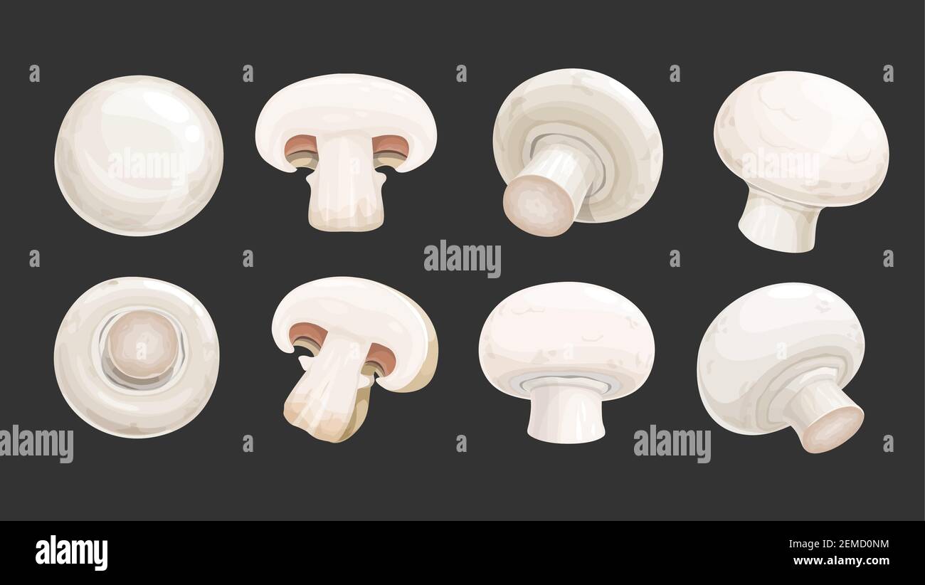 Mushroom Types For Cooking