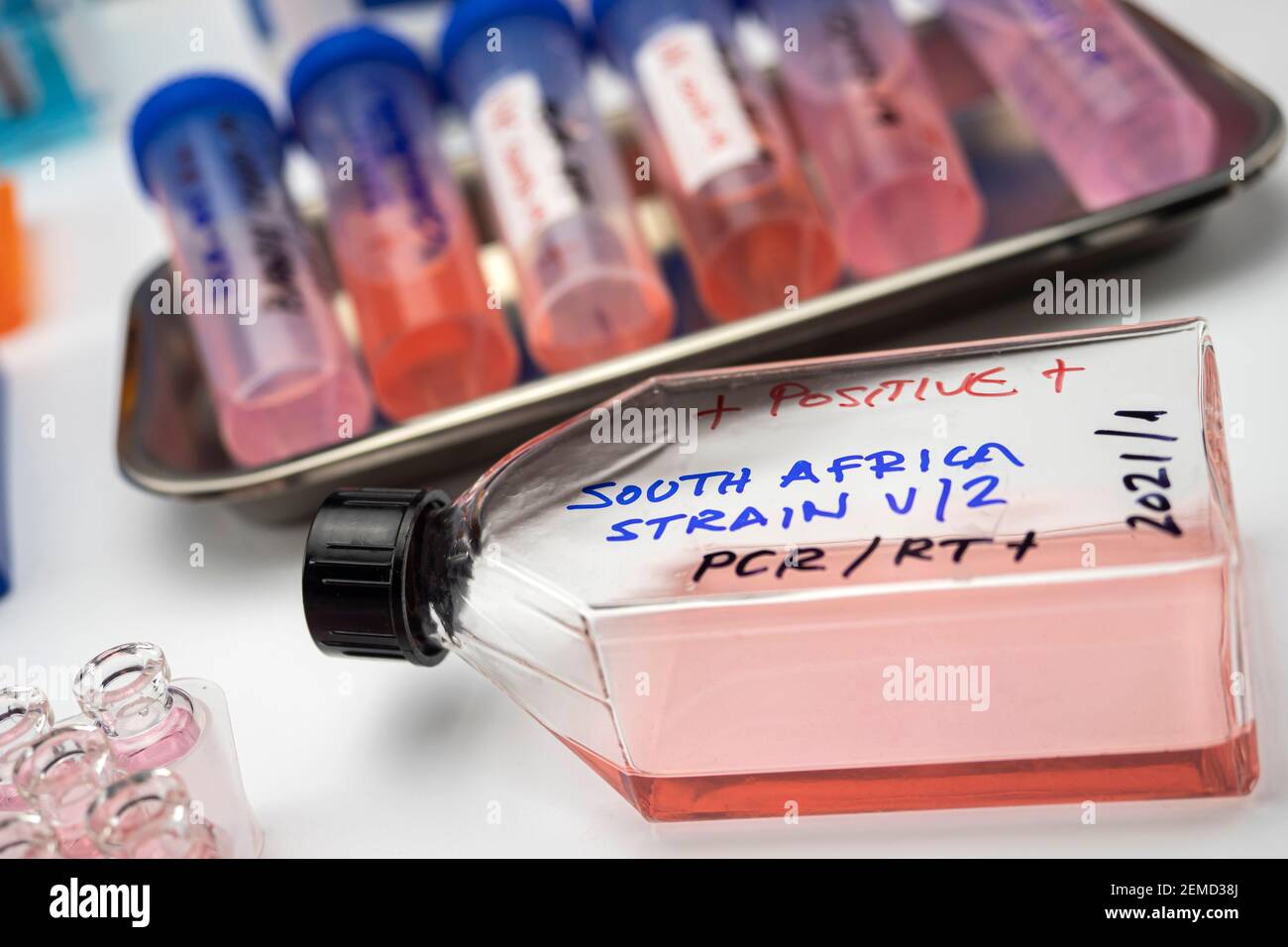 Several vials positive for covid-19 infection of the new variant in the ...