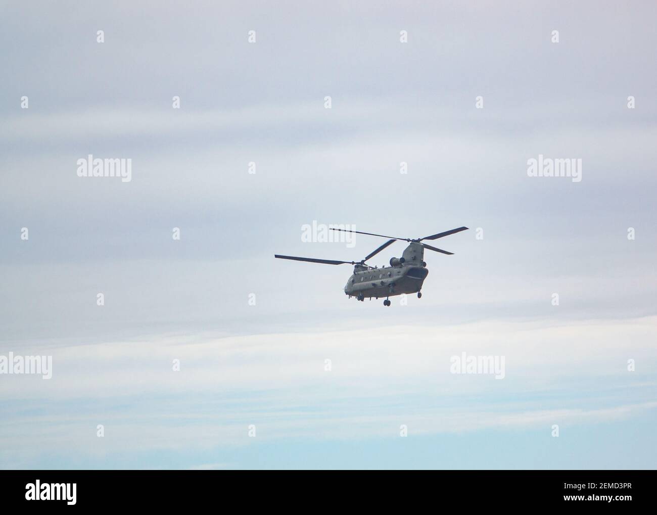 RAF Chinook tandem-rotor CH-47 helicopter flying fast and low in a ...