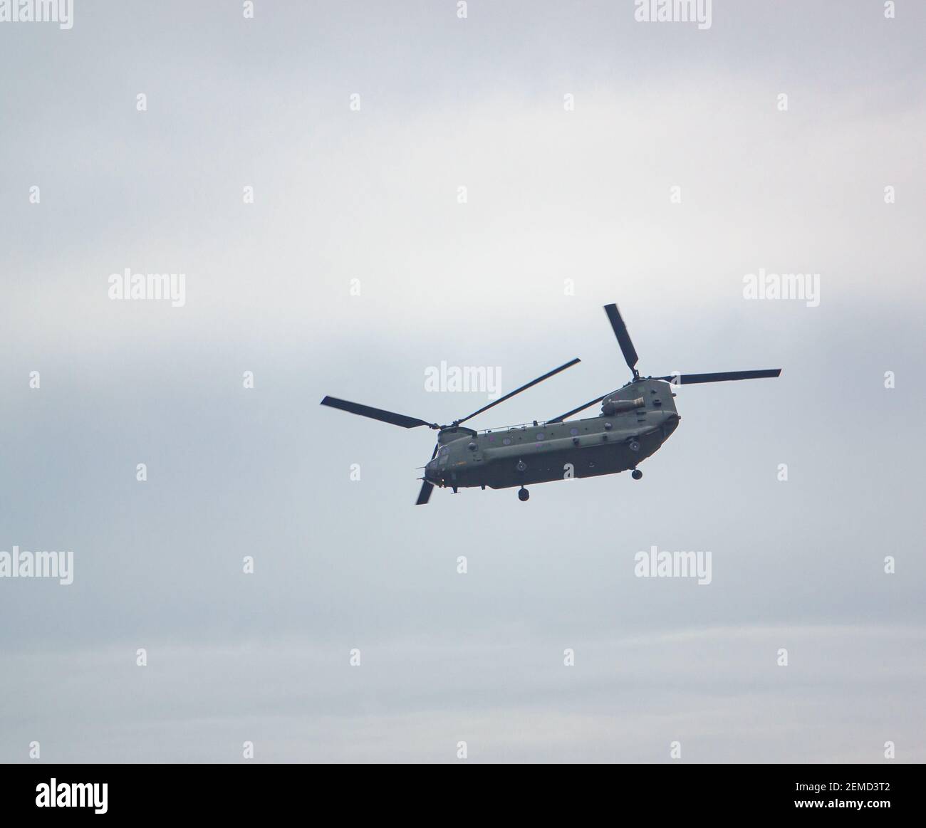 RAF Chinook tandem-rotor CH-47 helicopter flying fast and low in a ...
