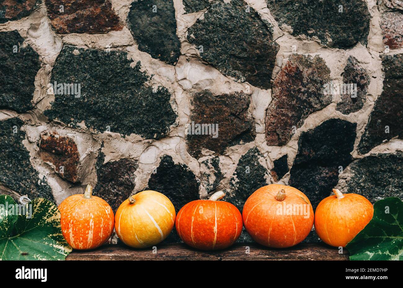 Clean pumpkins hi-res stock photography and images - Alamy