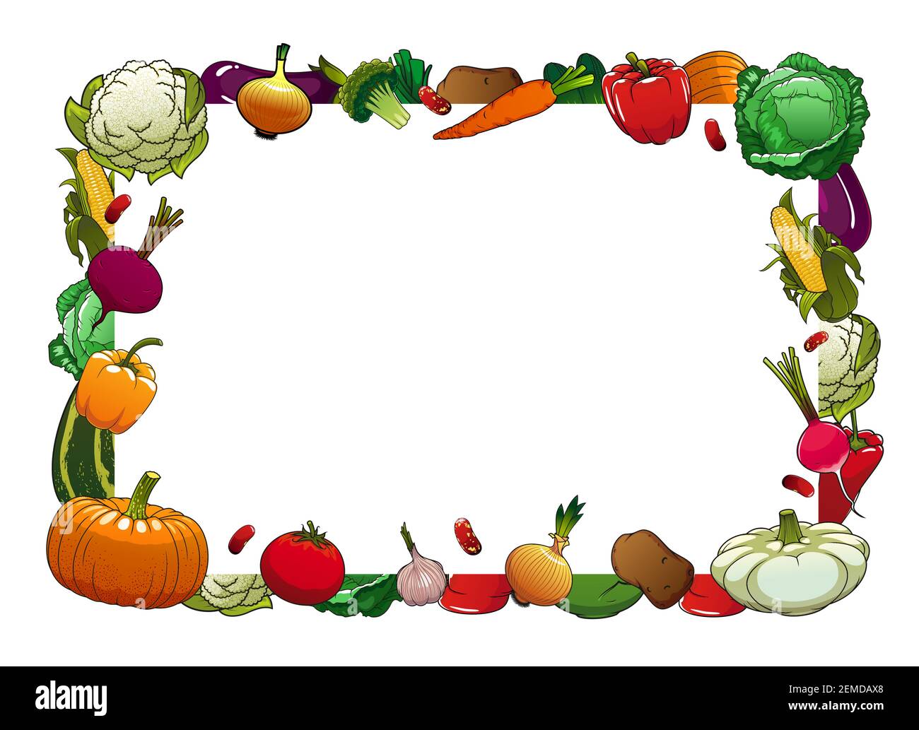 Farm ripe vegetables vector frame border. Cauliflower, cabbage and ...