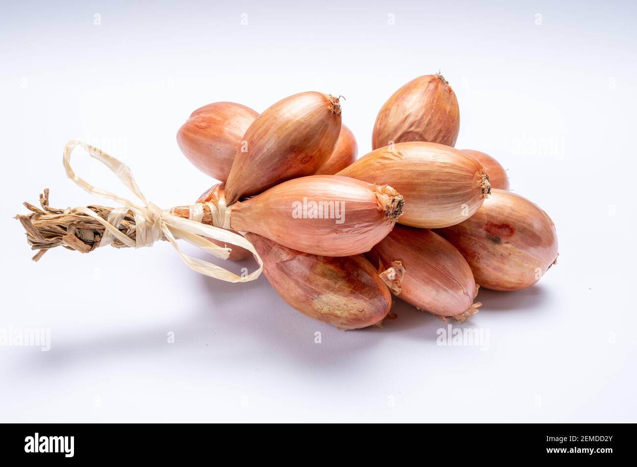 Bunch of French shallots grappe onion from Brittany, France on white ...