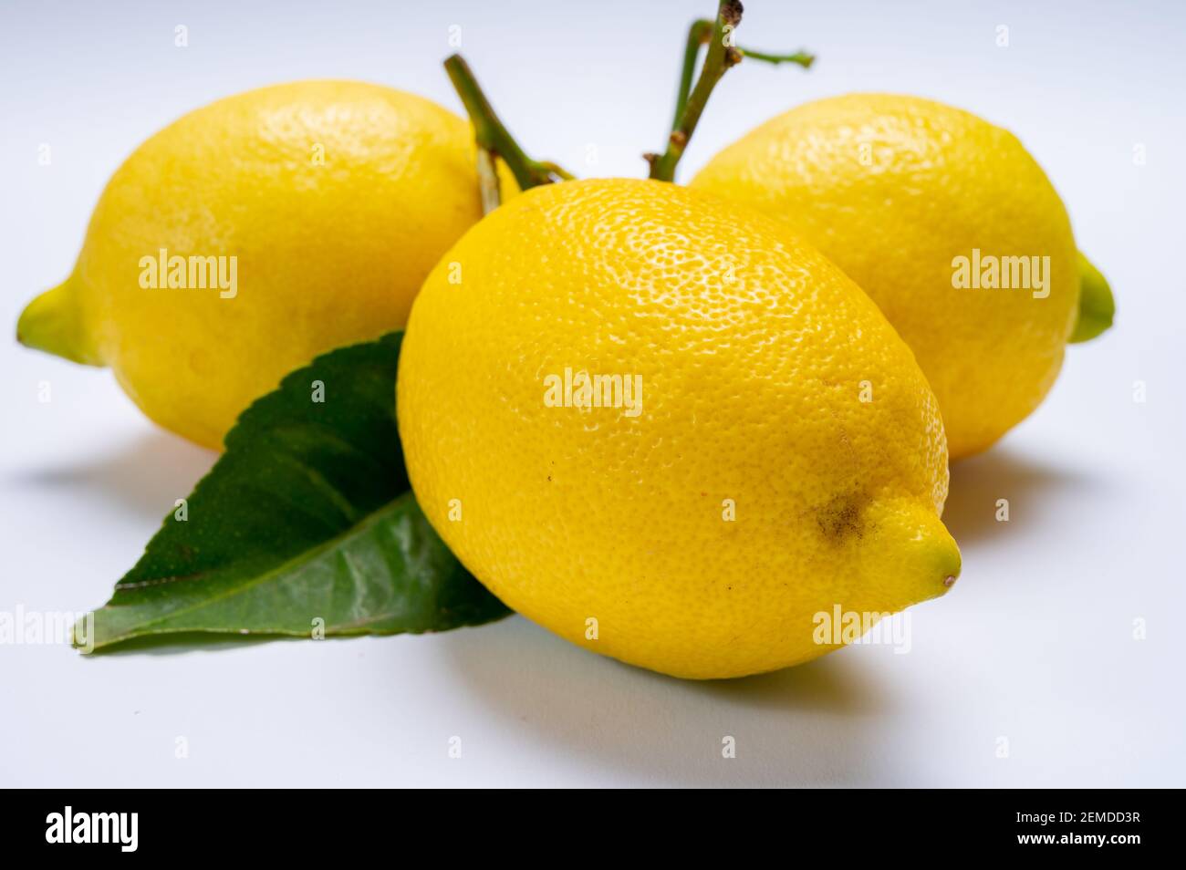 Fresh ripe yellow Italian lemons with leaf, new harvest, on white ...