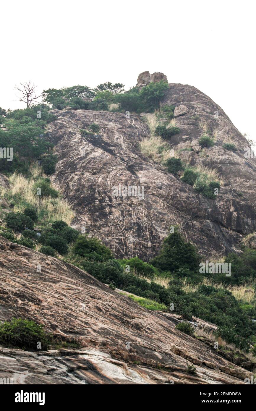 Natural mountainscape in kodikuthimala, Kerala India Stock Photo - Alamy