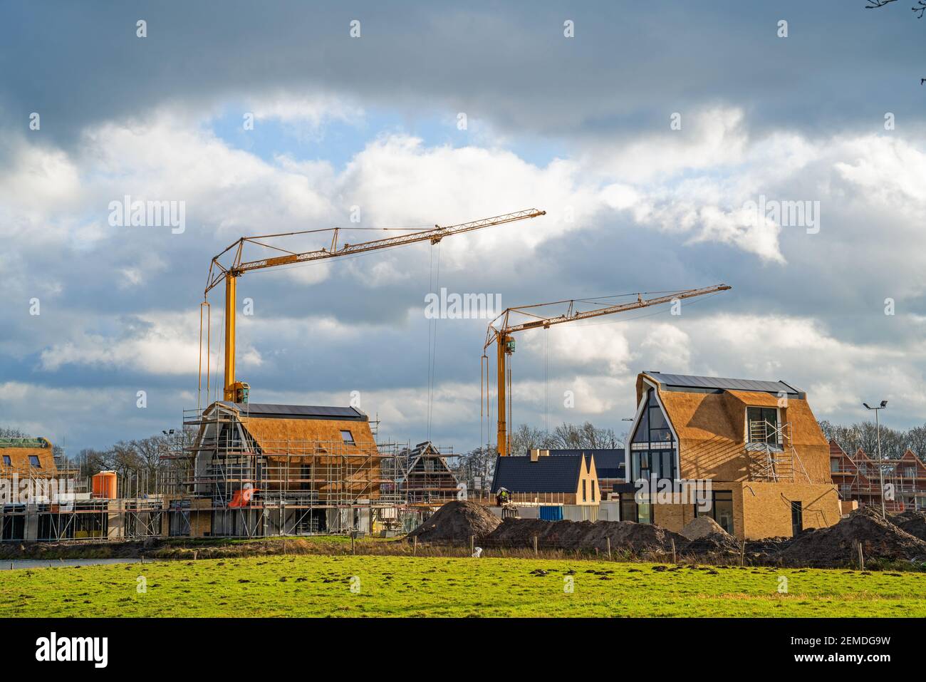 Reed construction hi-res stock photography and images - Alamy