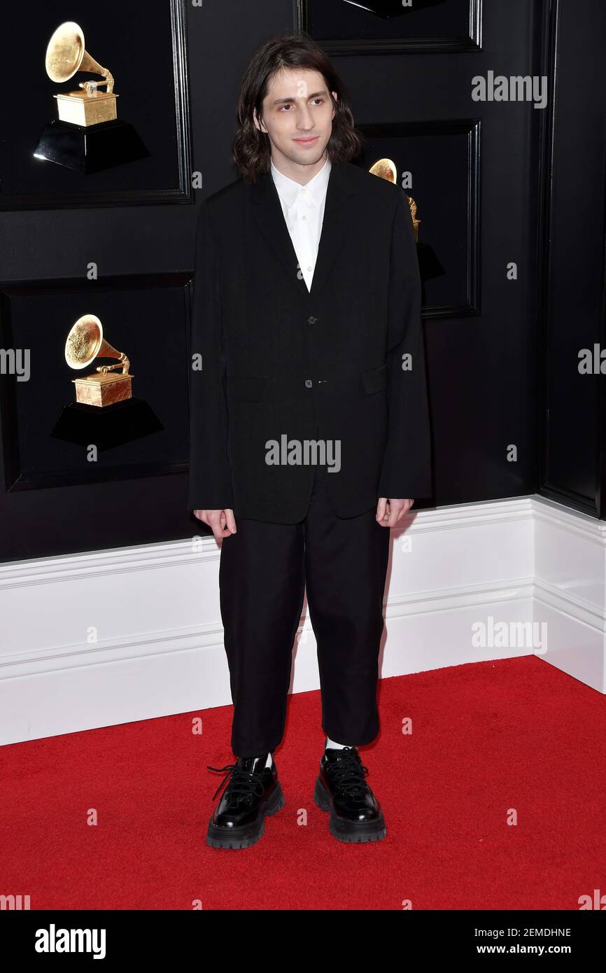 Porter Robinson arrives at the 61st Annual Grammy Awards red carpet at ...