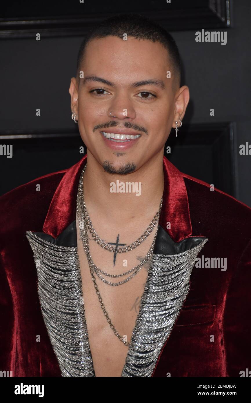 Evan Ross arrives at the 61st Annual Grammy Awards red carpet at the ...