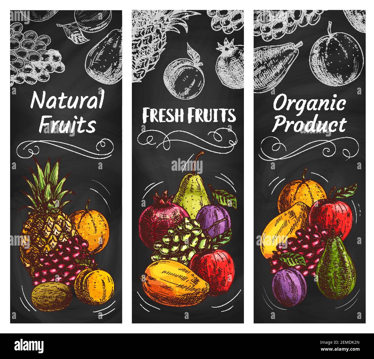 Fruits sketch banners, tropical farm market food pineapple, orange and ...