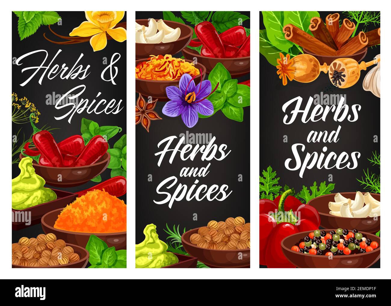 Herbs, spices seasonings and condiments banners, vector food cooking ...