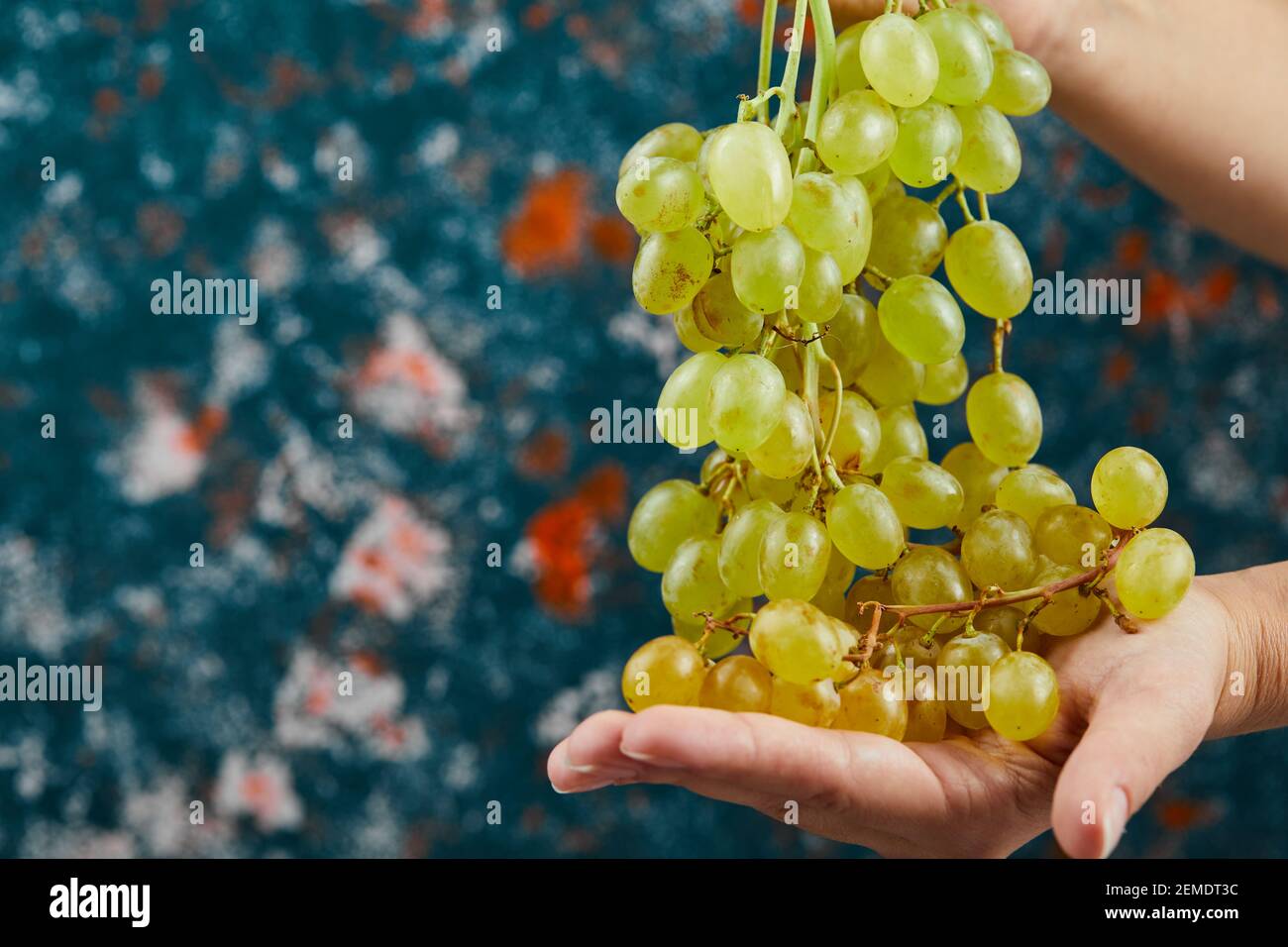 Hand on fresh grape hi-res stock photography and images - Alamy