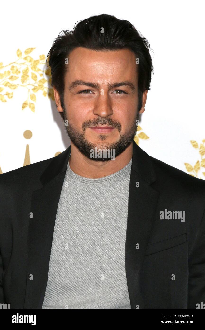 Tyler Hynes at the Hallmark Winter 2019 TCA Event at the Tournament ...