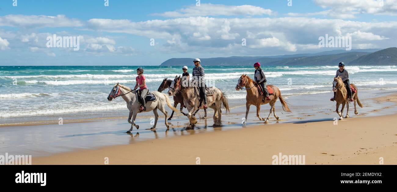 Horse Riding on Fairhaven Beach, Great Ocean Road, Victoria, Australia ...