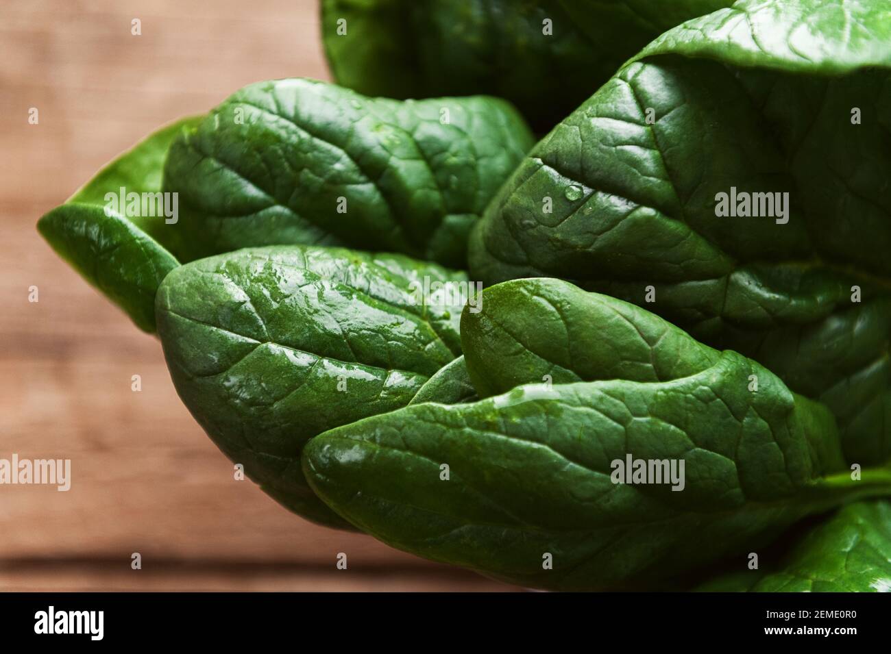 Wet spinach hi-res stock photography and images - Alamy