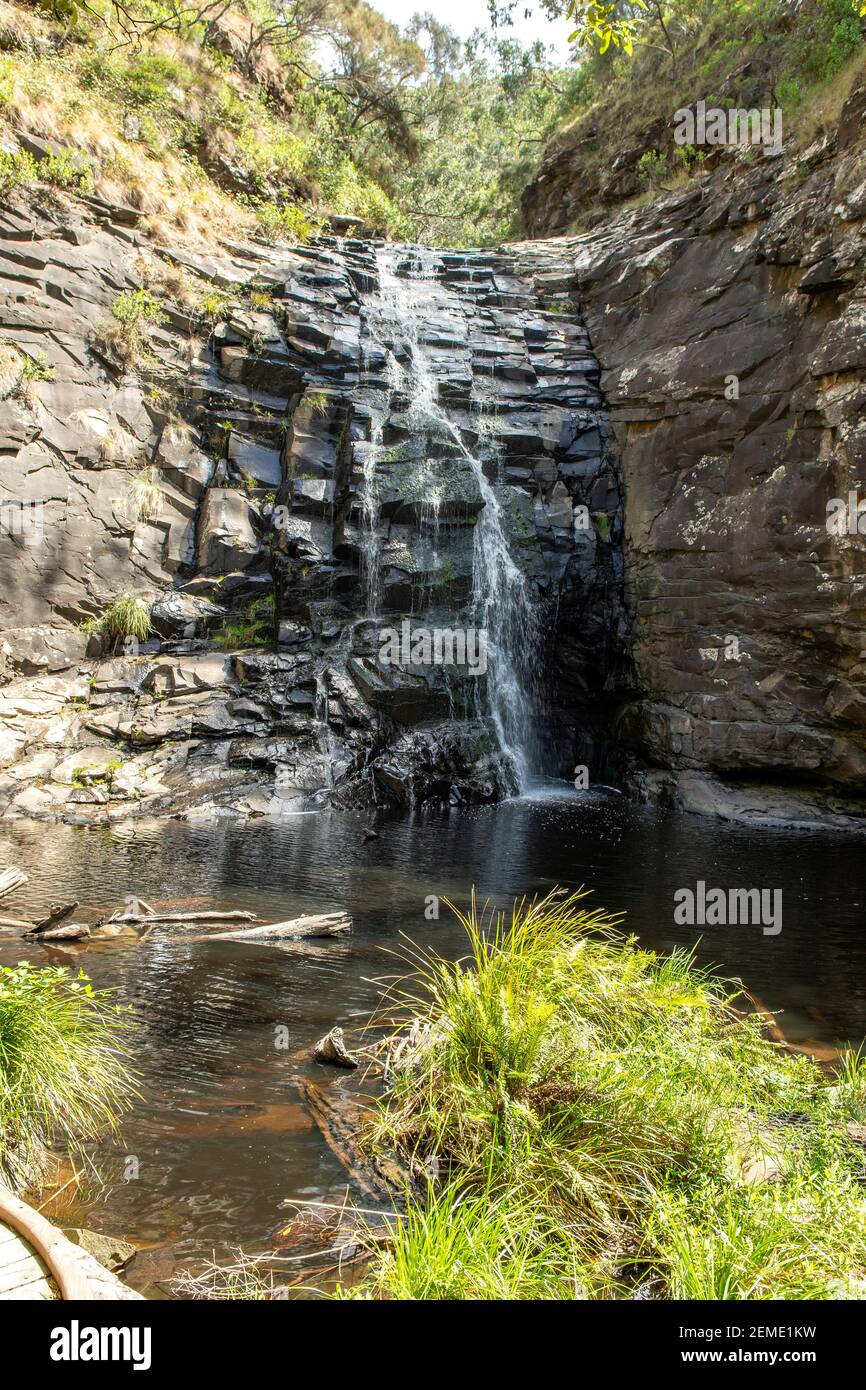 Sheoak forest hi-res stock photography and images - Alamy
