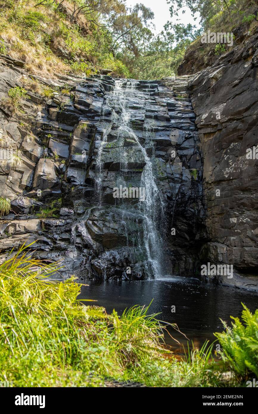 Sheoak Falls, near Lorne, Victoria, Australia Stock Photo - Alamy