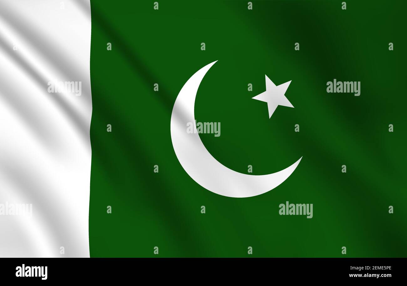 Pakistani flag, Pakistan country national identity, vector design white ...