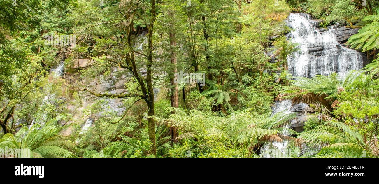 Triplet falls otways hi-res stock photography and images - Alamy