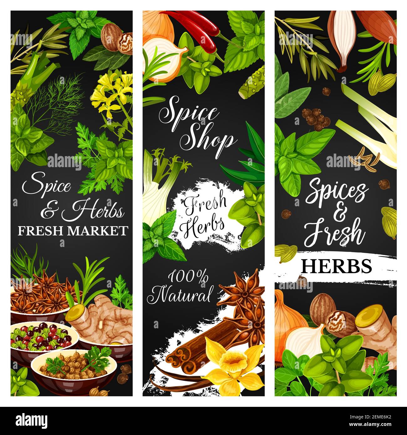 Cooking herbs and seasonings, spice condiments, vector food vegetables ...