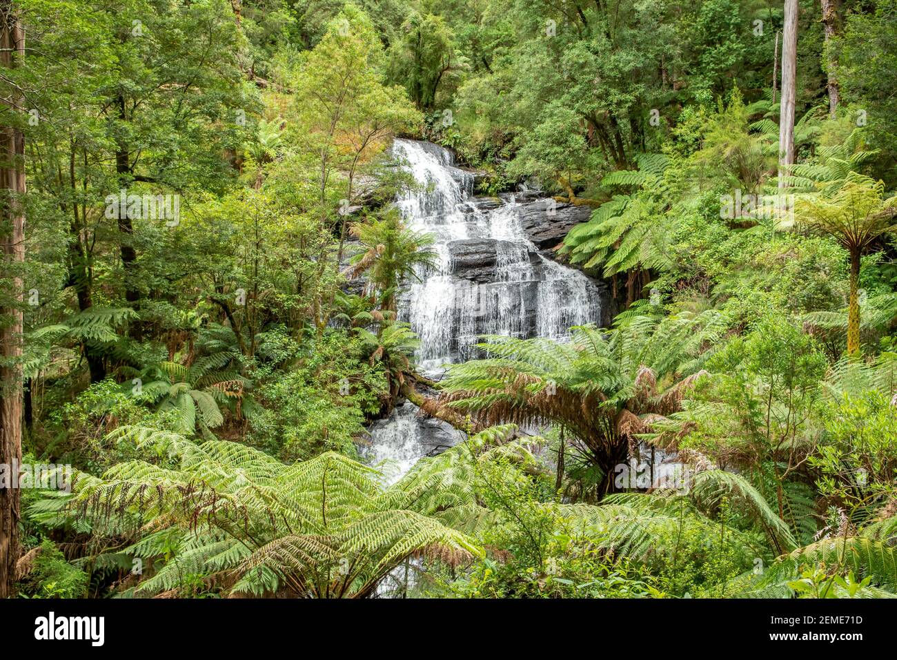 Triplet Falls, Great Otway National Park, Victoria, Australia Stock ...