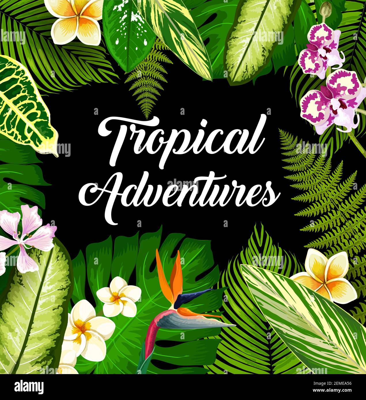 Tropical plants and flowers, vector poster, exotic palm leaves and ...