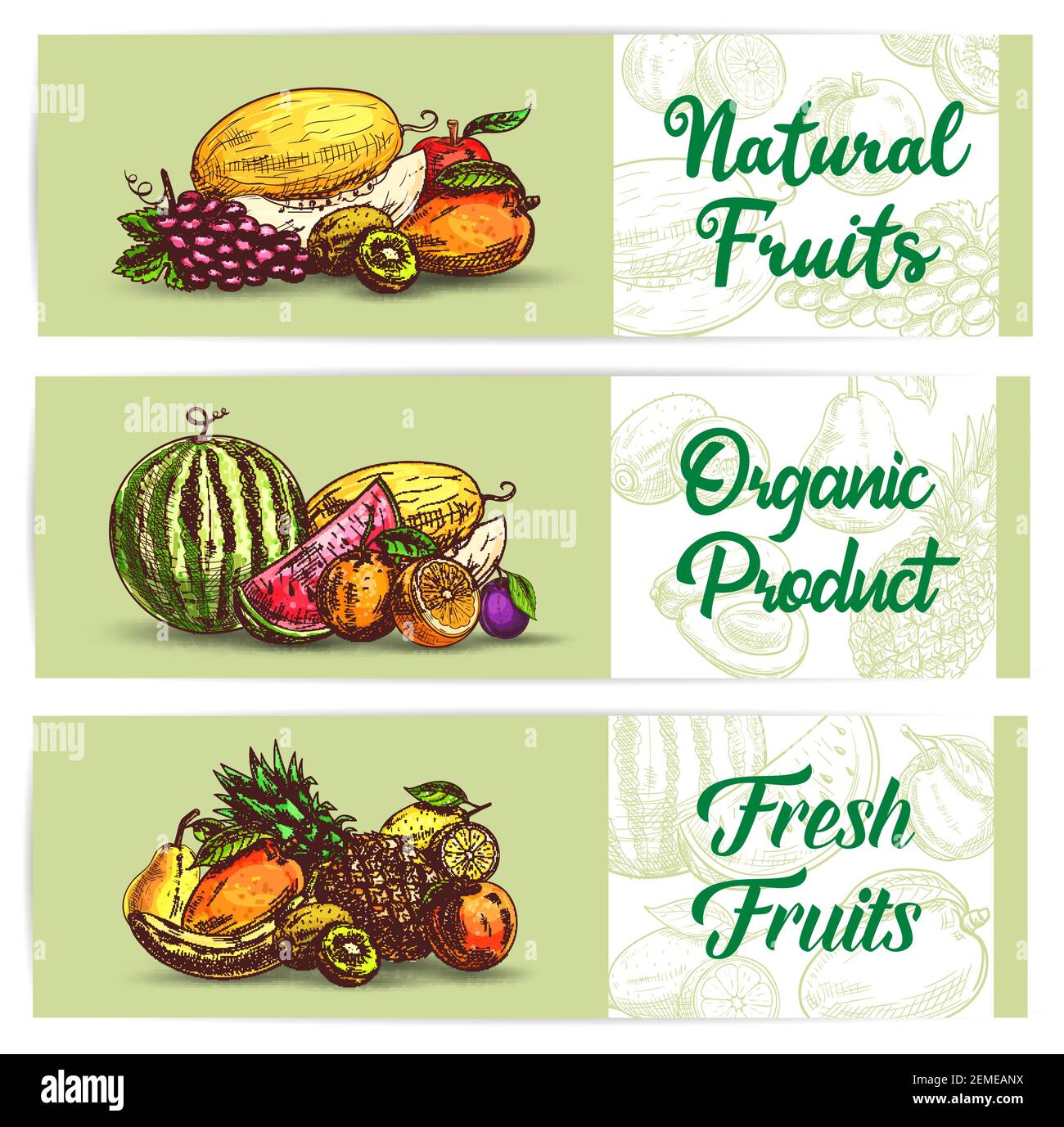 Fresh fruits sketch banners, vector agriculture production melon, grape ...